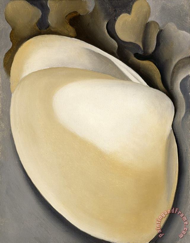 Georgia O'keeffe Tan Clam Shell with Seaweed, 1926 painting - Tan Clam ...